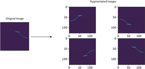 Data Augmentation Technique Applied In The Images 27 Download