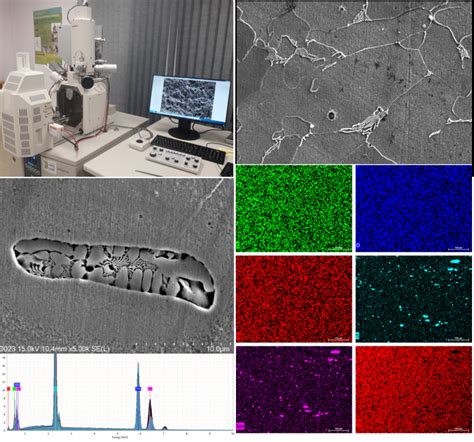 Observations Microstructure