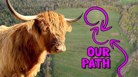 Jumping Cattle On Our Planet