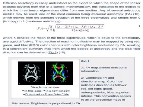 Presentation1pptx Diffusion Tensor Imaging Of White Matter Tract In