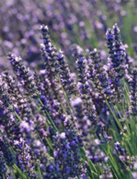 Eric Cole Obituary July 13 2018 Brookings Smith Funeral Home