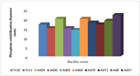 Phosphate Solubilisation Diameters By Bacillus Download Scientific
