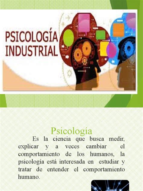 Psicología Industrial Y Comportamiento Laboral Pdf Psicología
