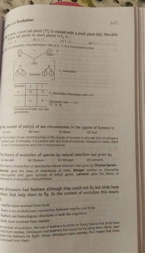 1nf2 Generation The Phenotypic Ratio Is 3 1 In A Monohybrid Cross In