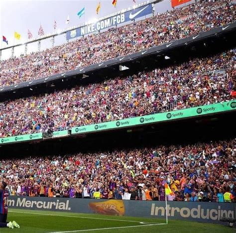 مقالات باسل مالك Bassel M Malek