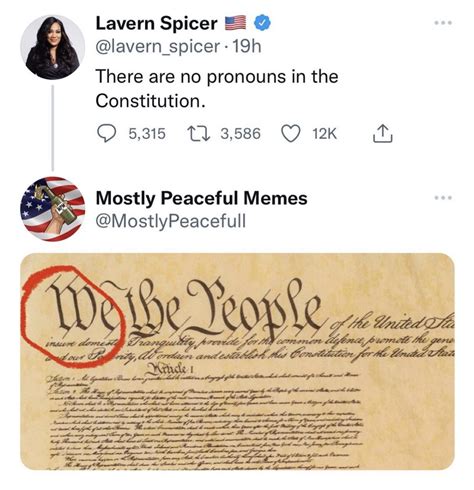 3312 Best Constitution Images On Pholder Dndmemes Political Humor