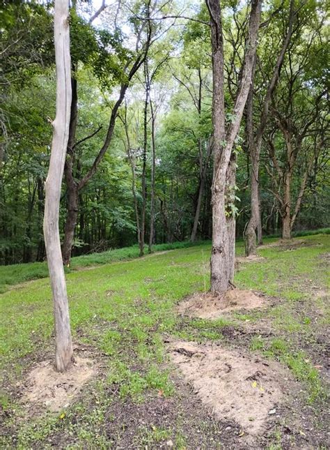 Biologic Deer Plot Food Plot Mix 45 Lb Covers 1 Acre At Tractor Supply Co