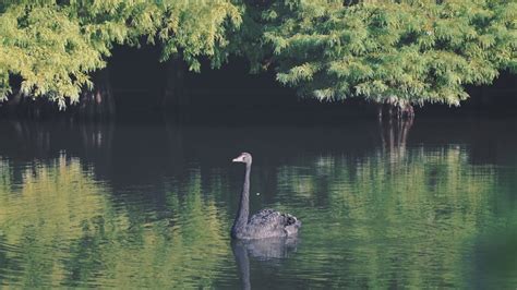 擦吧一天岸边擦吧一天才你擦吧一天岸边擦吧一天才你岸边擦吧一天 Videos Download The Best Free 4k Stock Video Footage And 擦吧一天岸边擦吧一