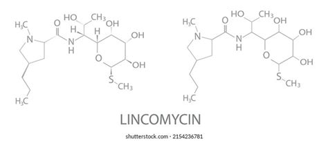 Lincomycin Hơn 46 Hình Minh Họa Và Hình Vẽ Có Sẵn Miễn Phí Bản Quyền