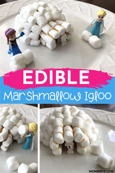 Marshmallow Igloo Craft Artofit