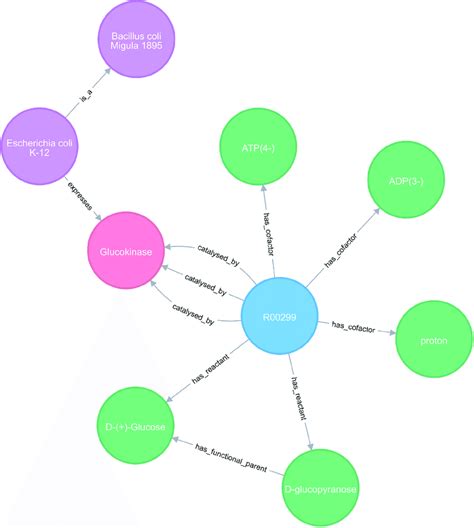 Example Query Output Example Output Of The Query Investigating Whether Download Scientific