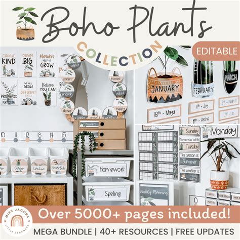Boho Plants Classroom Decor Rustic Boho Theme Miss Jacobs