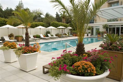 17 Inspiring Rock Garden With Potted Plants Ideas