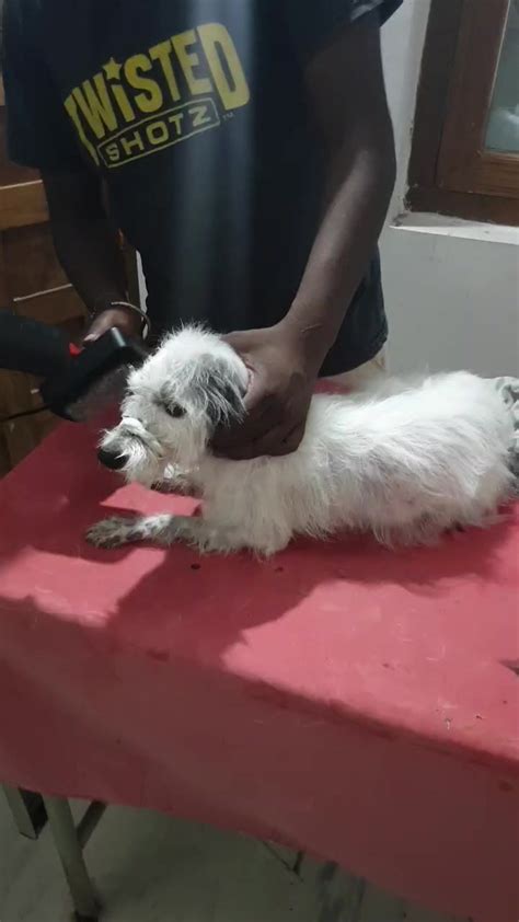 Jeev Aashraya Was Live By Jeev Aashraya