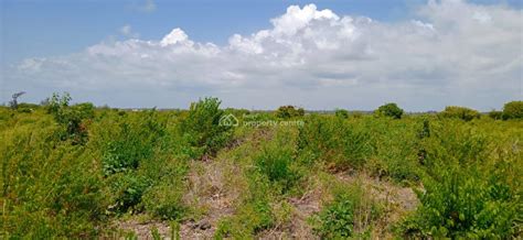 For Sale Prime 12 Acres Land With Flexible Subdivision Options Watamu