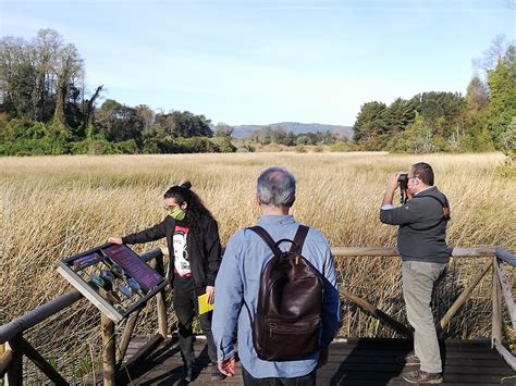 Field Work Carried Out With Ornithologist Jorge Tomasevic Soundlapse