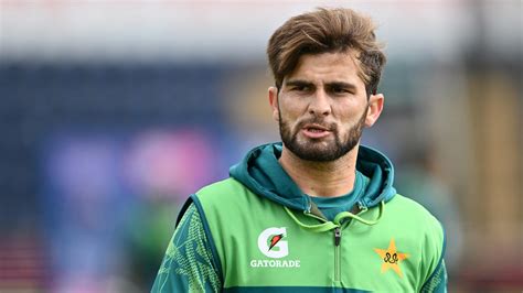 Waist Height No Ball Cricket Rule Explained Why Shaheen Afridi Was