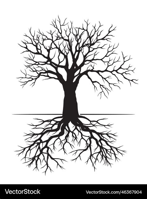 Black Tree With Roots Outline Royalty Free Vector Image