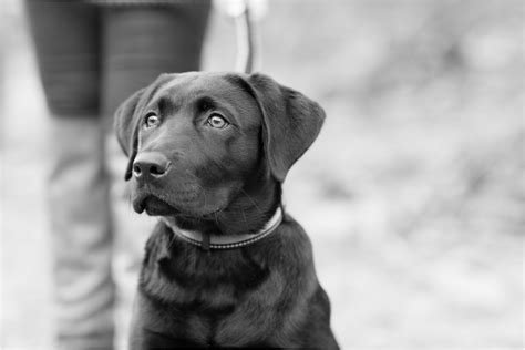 Nina And Zach Patapsco State Park — Anna Grace Photography