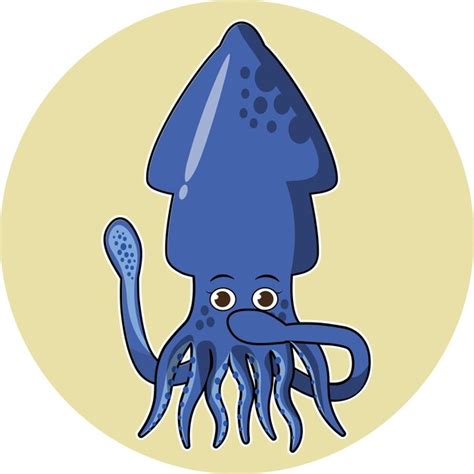 Squid Form Vectors And Illustrations For Free Download