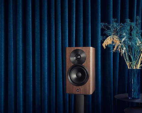 Dynaudio Focus 10 Audiophile Style More Than Meets The Eye