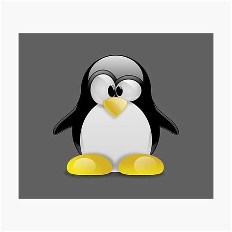Linux Tux Photographic Prints Redbubble