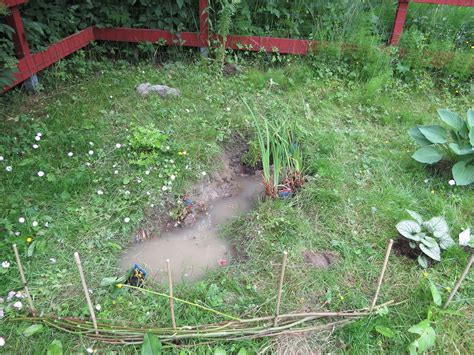 I En By På Landet Att Anlägga En Sumpmark