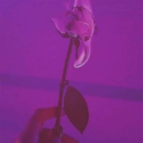 Aira Aira681924 • Threads Say More