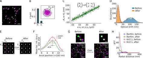 Determination Of Oligomeric States Of Proteins Via Dual Color Colocalization With Single