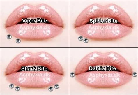 What Are Spider Bites Piercings