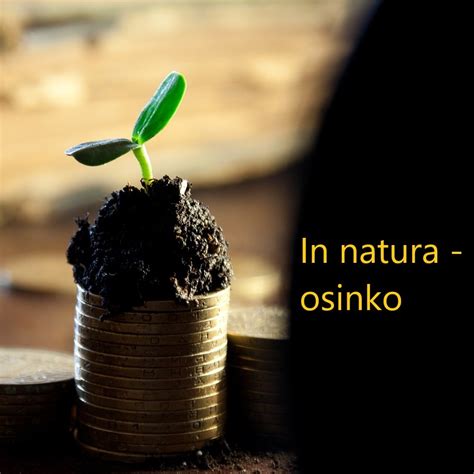 In Natura Osinko Muuna Kuin Rahana Jaetun Osingon Verotus