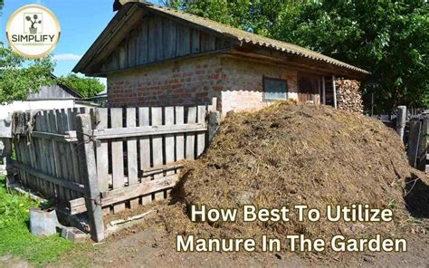 How Best To Utilize Manure In The Garden Simplify Gardening