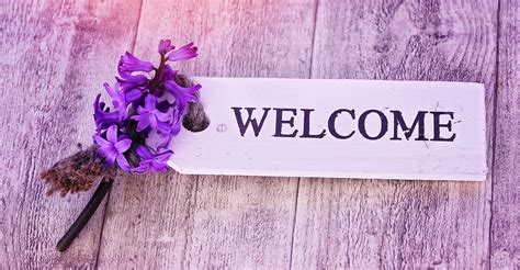 무료 이미지 목재 자 색깔 푸른 담홍색 닫기 세례반 방패 아름다움 환영 히아신스 봄의 꽃 목조 기호 향기로운 꽃 2000x1042