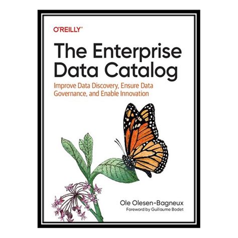قیمت و خرید کتاب The Enterprise Data Catalog Improve Data Discovery
