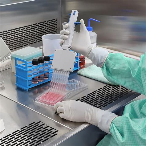 How Netsuite And Coupa Integration Helps Biotech Companies