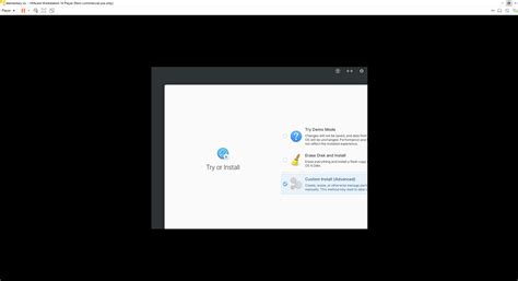 Help With Resizing The Gui In Elementary Os Rvirtualization