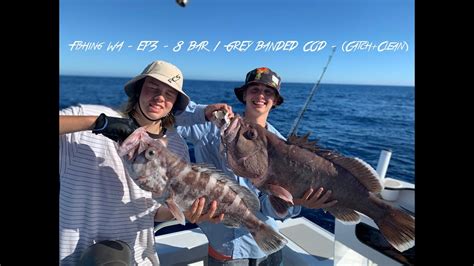 Massive 8 Bargrey Banded Cod Big Eye Nannygai Deep Dropping