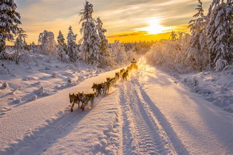 Ontdek De Pure Schoonheid Van Scandinavië Ewmagazinenl