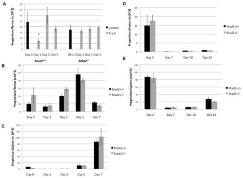 Mad2 Haploinsufficiency Protects Hematopoietic Progenitor Cells