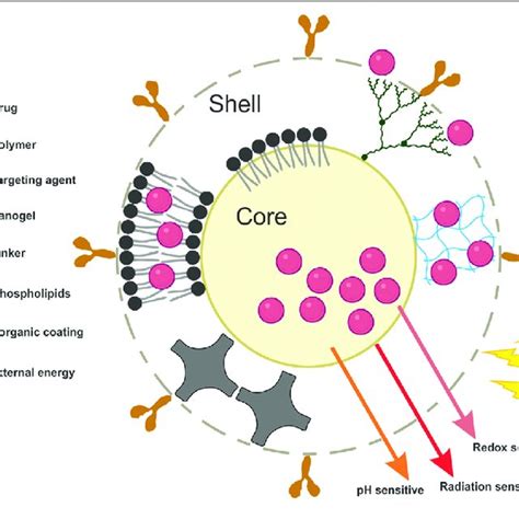 Schematic Representation Of A Nanostructure For Drug Delivery