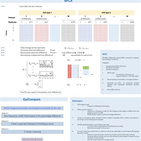 Schematic Overview And Stepwise Algorithm Of A Chromdet Which Download Scientific Diagram