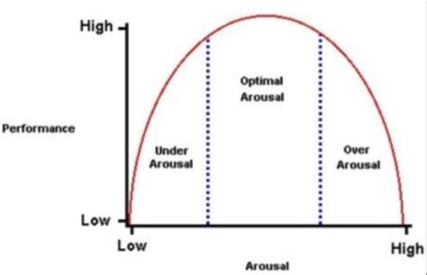 Factors Affecting The Accuracy Of Ewt Anxiety Flashcards Quizlet