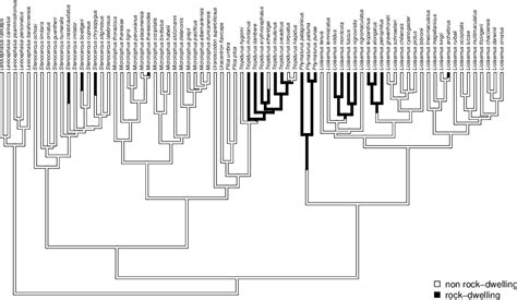 Figure 1 From A Simple Hierarchical Model For 1 Heterogeneity In The Evolutionary 2 Correlation