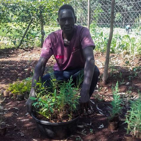 Africaworkpower On Linkedin Codinggreen Conservingnature Coding