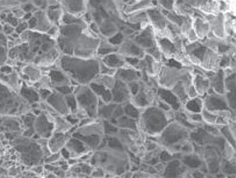 Microstructure Of The Frozen Starch Gels Containing 0hdp A D G J