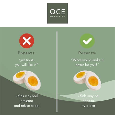 Qce Nurseries On Linkedin Qce Tinkerbellsdaynursery Nursery