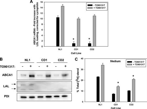 Lxr Agonist Up Regulates Abca1 Expression But Fails To Correct