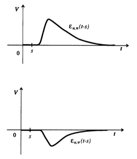 Postsynaptic Potential