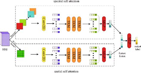illustration of the dss trm conv2d denotes a convolutional layer mlp