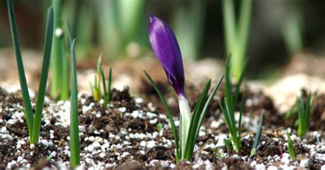 한 자루 붓처럼